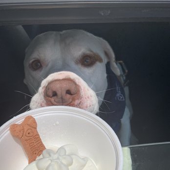 JONES HUMDINGER - Updated December 2025 - 40 Photos & 52 Reviews - 1441 ...