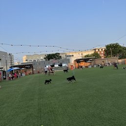 FETCH PARK - Updated July 2025 - 80 Photos & 19 Reviews - 309 Buckhead ...