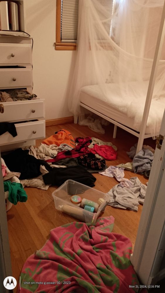 CAPITAL CLEANING - Updated February 2025 - 15 Photos - Woodbridge ...