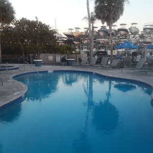 OZONA BLUE GRILLING - 516 Photos & 614 Reviews - 125 Orange St, Palm ...