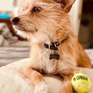 SLATON VETERINARY HOSPITAL - Updated April 2025 - 95 Photos & 157 ...