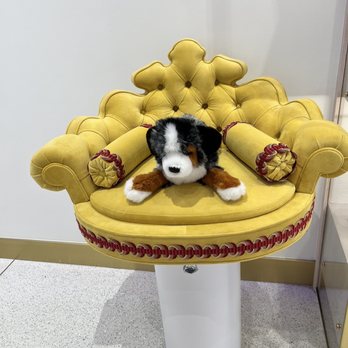 SOCIETY HOUNDS - Updated December 2025 - 105 Photos - 339 N Canon Dr ...