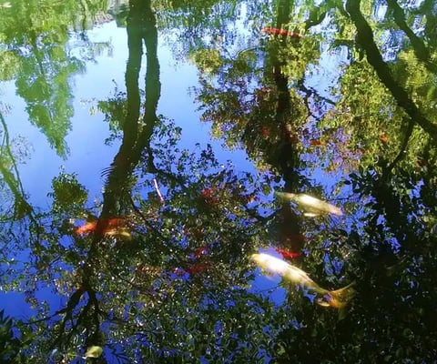 ST ANDREW’S ABBEY - 120 Photos & 24 Reviews - 31001 N Valyermo Rd ...