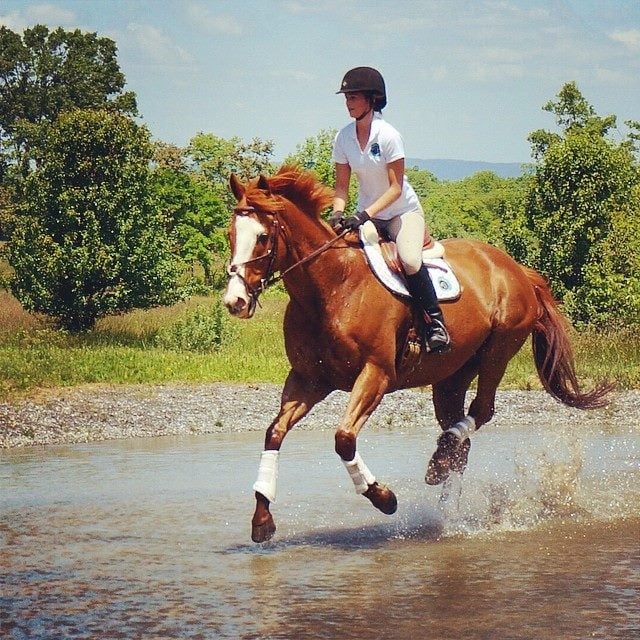 HUNT CLUB FARMS - Updated November 2024 - 294 Longmarsh Rd, Berryville ...