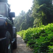 WINDROCK PARK CAMPGROUND - 65 Photos & 15 Reviews - 555 Windrock Park ...