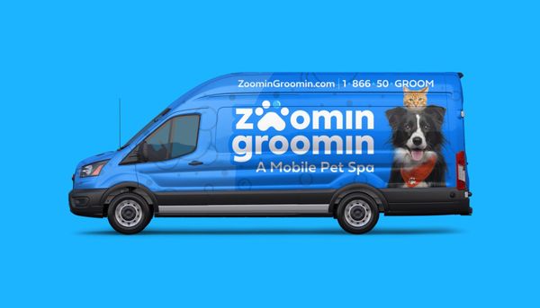 ZOOMIN GROOMIN - Updated July 2024 - 10 Photos & 12 Reviews - Tampa ...