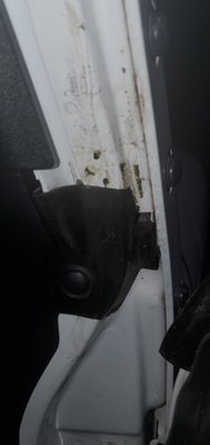 FERMAN CHRYSLER JEEP DODGE RAM - WESLEY CHAPEL - Updated December 2025 ...