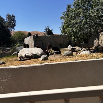 CALM ZOO - Updated December 2024 - 464 Photos & 162 Reviews - 10500 ...