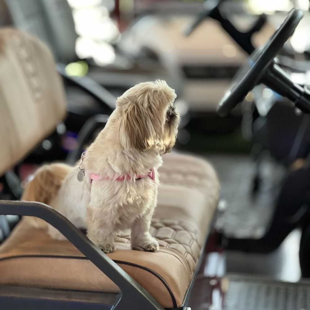 CART CASTLE - Updated October 2025 - 111 Co Rd 214, Liberty Hill, Texas ...