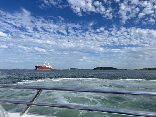 CODZILLA - Updated June 2025 - 58 Photos & 150 Reviews - 1 Long Wharf ...