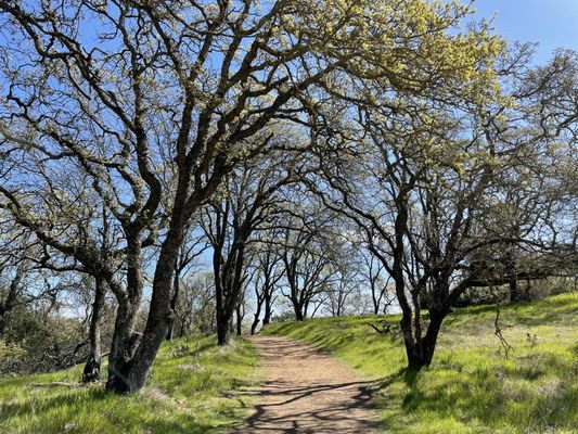 ALMADEN QUICKSILVER COUNTY PARK - Updated March 2025 - 1113 Photos ...