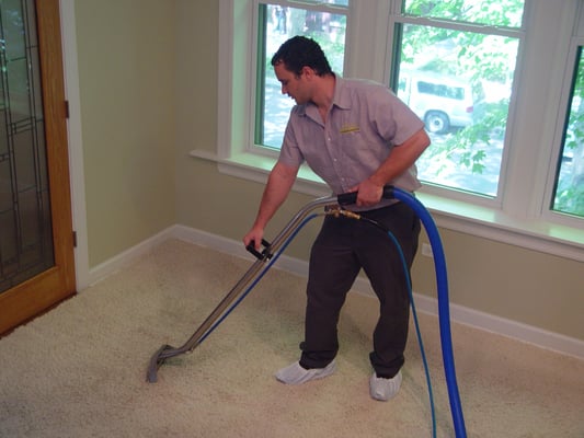 CHICAGO CARPET CARE - Updated May 2025 - 24 Photos & 123 Reviews - 831 ...