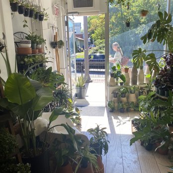THE PLANT SHACK - Updated December 2025 - 41 Photos - 618 Main St, East ...