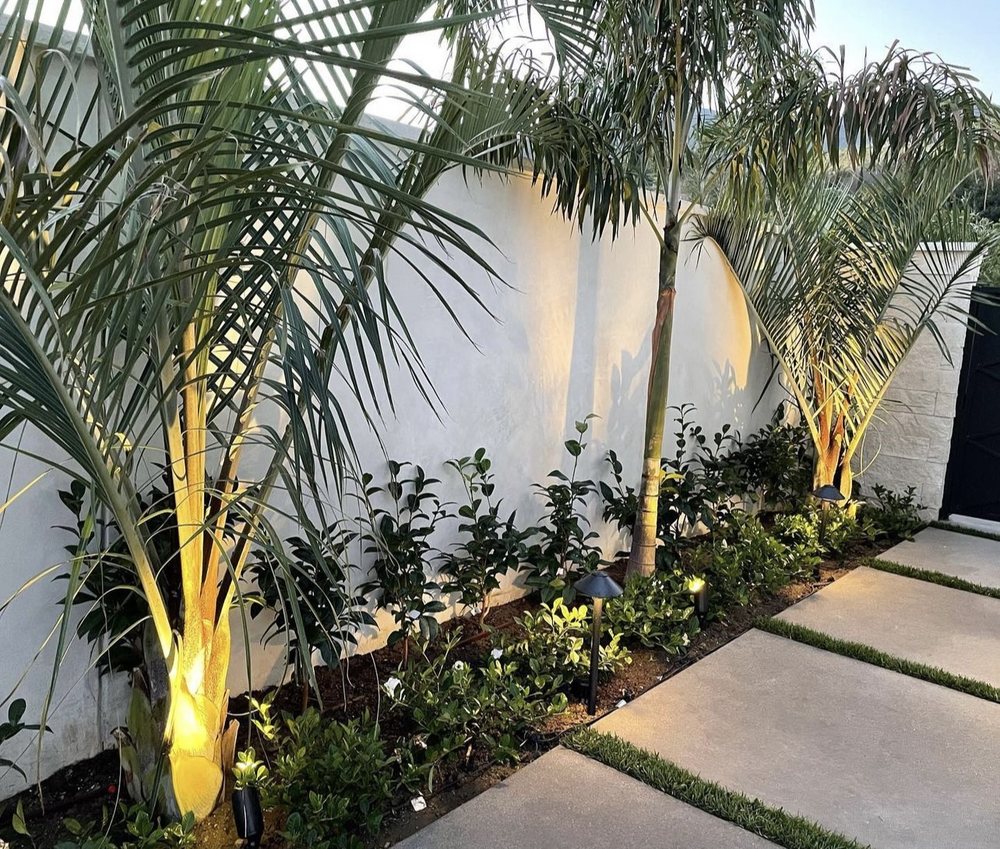 RAZO LANDSCAPE SERVICES - Updated May 2024 - Yelp