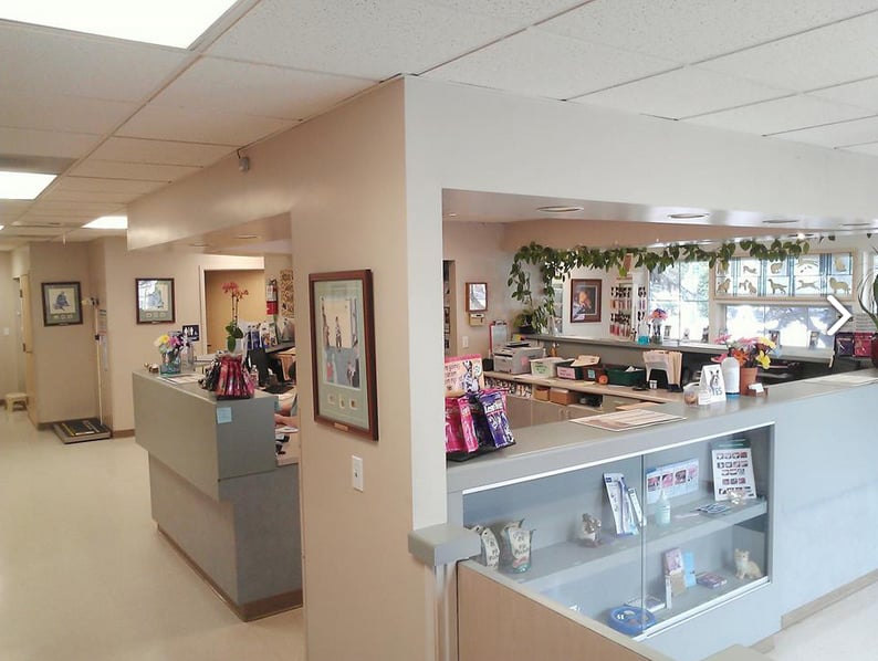 BURIEN VETERINARY HOSPITAL - Updated June 2026 - 29 Photos & 70 Reviews ...