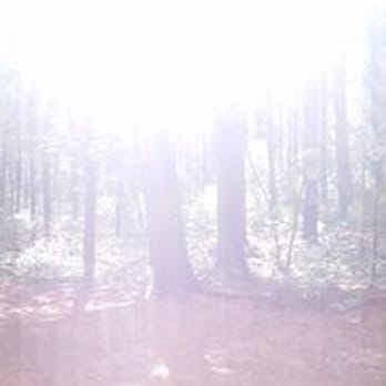 F GILBERT HILLS STATE FOREST - Updated October 2025 - 32 Photos & 18 ...