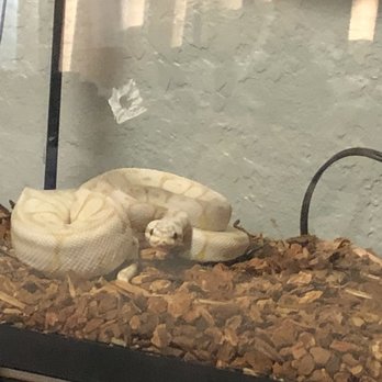 JTK REPTILES - Updated July 2024 - 1884 Photos & 174 Reviews - 916 E ...