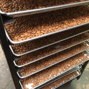 Colts Chocolates - 57 Photos & 41 Reviews - Desserts - 3611 Gallatin ...