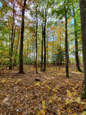 PINELAND FARMS - 95 Photos & 42 Reviews - 15 Farm View Dr, New ...