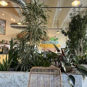 OUTTA THE BLUE CAFE - Updated October 2024 - 188 Photos & 118 Reviews ...