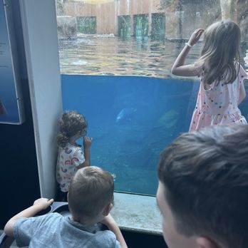 THE TOLEDO ZOO - Updated November 2025 - 326 Reviews & 1005 Photos - 2 ...