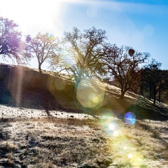 SUNOL REGIONAL WILDERNESS AREA - Park in Sunol, California at 1895 ...