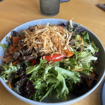 MAYAN MONKEY BREWING - Updated October 2025 - 59 Photos & 31 Reviews ...