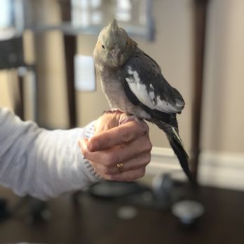 Magnolia Bird Farm - 121 Photos & 149 Reviews - Pet Stores - 8990 ...
