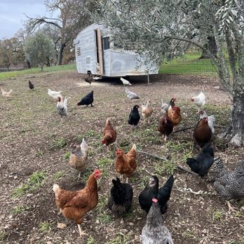 BELTANE RANCH - Updated October 2025 - 205 Photos & 93 Reviews - 11775 ...