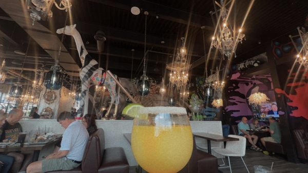 AGAVE & RYE - CENTERVILLE - 79 Photos & 49 Reviews - 11 N Main St ...