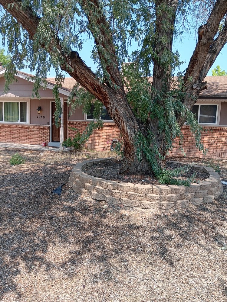 PRESTIGE LANDSCAPING - Updated January 2026 - Request a Quote - 85 ...