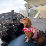 AVNA LEARNING CENTER - Updated August 2025 - 139 Fulton St, New York ...