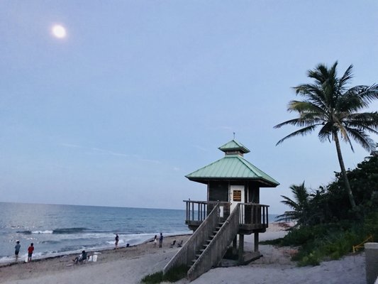 RED REEF PARK - 95 Photos & 47 Reviews - Beaches - 1400 N Ocean Blvd ...