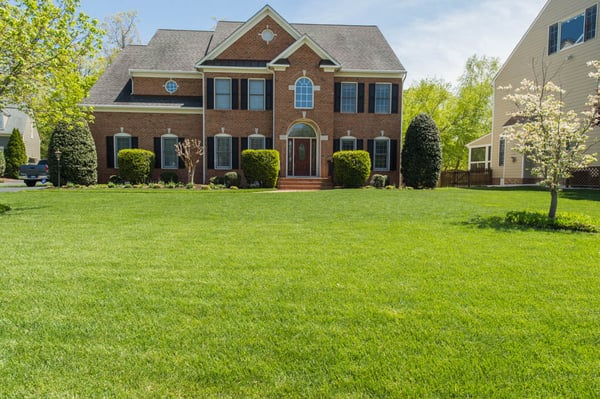 VIRGINIA GREEN - Updated May 2025 - 55 Photos & 81 Reviews - 7421 Ranco ...