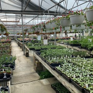 PECKHAM’S GREENHOUSE - Updated May 2025 - 71 Photos & 27 Reviews - 200 ...