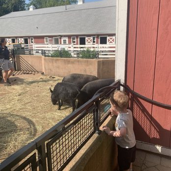 COSLEY ZOO - Updated January 2025 - 311 Photos & 147 Reviews - 1356 N ...