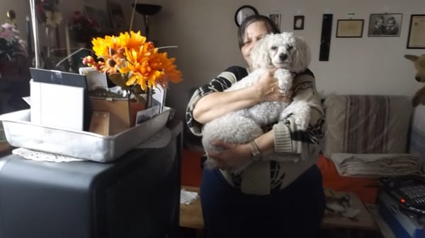 TORONTO ANIMAL SERVICES EAST SHELTER - Updated May 2025 - 39 Photos ...