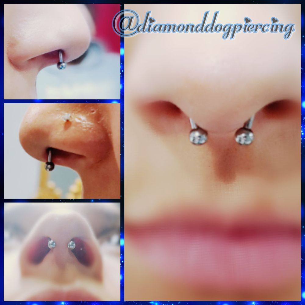 DIAMOND DOG BODY PIERCING - 3020 Henderson Dr, Cheyenne, Wyoming ...