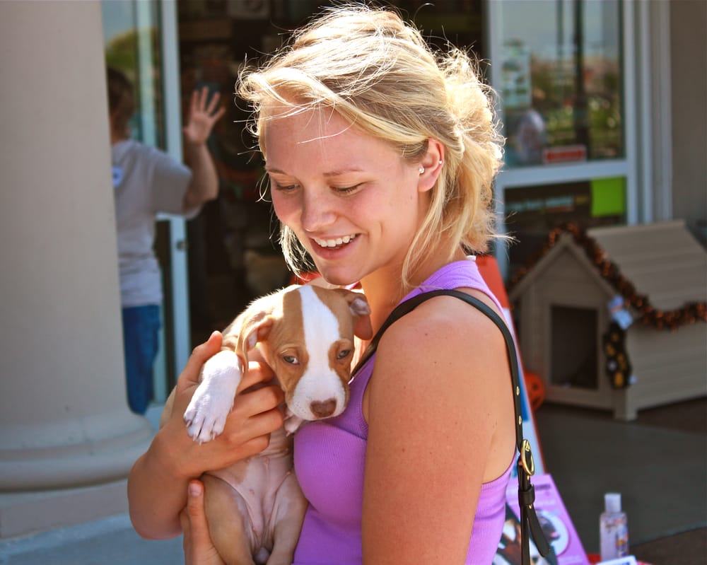 IT’S THE PITS DOG RESCUE - Updated August 2024 - 98 Photos & 71 Reviews ...