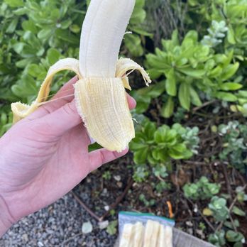 KUILIMA FARM - Updated August 2024 - 58 Photos & 13 Reviews - 57-146 ...