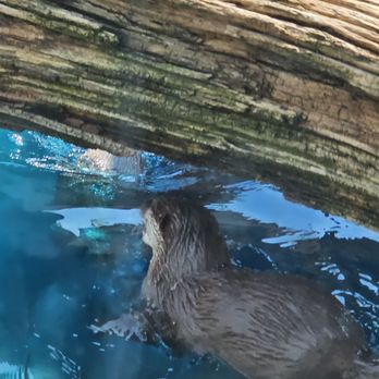 HOVATTERS WILDLIFE ZOO - Updated March 2026 - 105 Photos & 29 Reviews ...