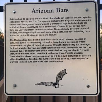 BAT CAVE - Updated September 2025 - 81 Photos & 40 Reviews - North Of ...