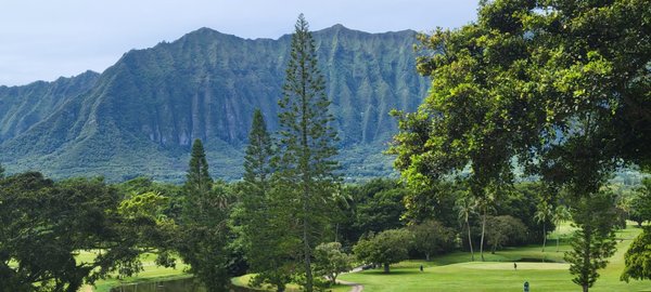 OLOMANA GOLF LINKS - Updated October 2024 - 41 Photos & 33 Reviews - 41 ...
