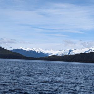 HARV AND MARV’S OUTBACK ALASKA WHALE WATCHING - Updated June 2025 - 126 ...