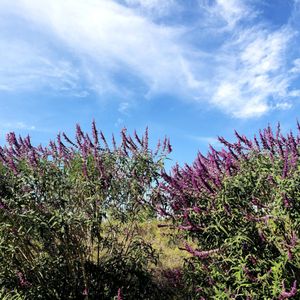 REID PARK - 22 Photos & 12 Reviews - 800 N Orange St, Riverside, CA - Yelp