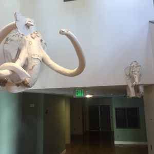 NORTHWEST MUSEUM OF ARTS & CULTURE - 102 Photos & 31 Reviews - 2316 W ...