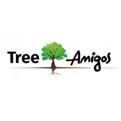 TREE AMIGOS ORLANDO - Updated October 2025 - 82 Photos & 38 Reviews ...