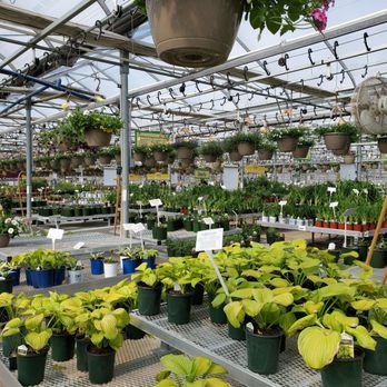 WOLDHUIS FARMS SUNRISE GREENHOUSE - Updated May 2024 - 50 Photos & 54 ...