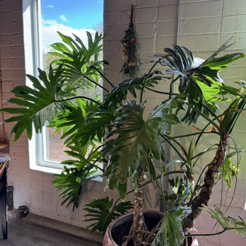 SLOW BODY BEER - Updated July 2025 - 78 Photos & 28 Reviews - 831 E ...