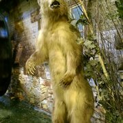 BASS PRO SHOPS - 101 Photos & 74 Reviews - Guns & Ammo - 6112 Grand Ave ...